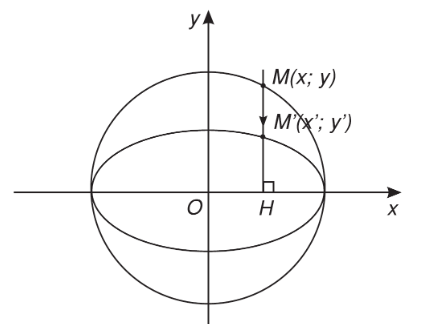 Hình elip là gì ? Xem là hiểu ngay